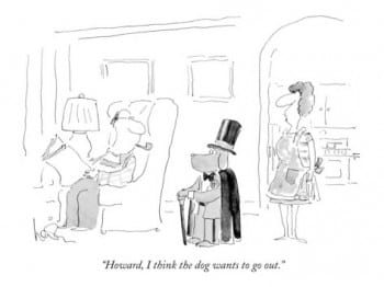 Arnie Levin - The Comics Journal