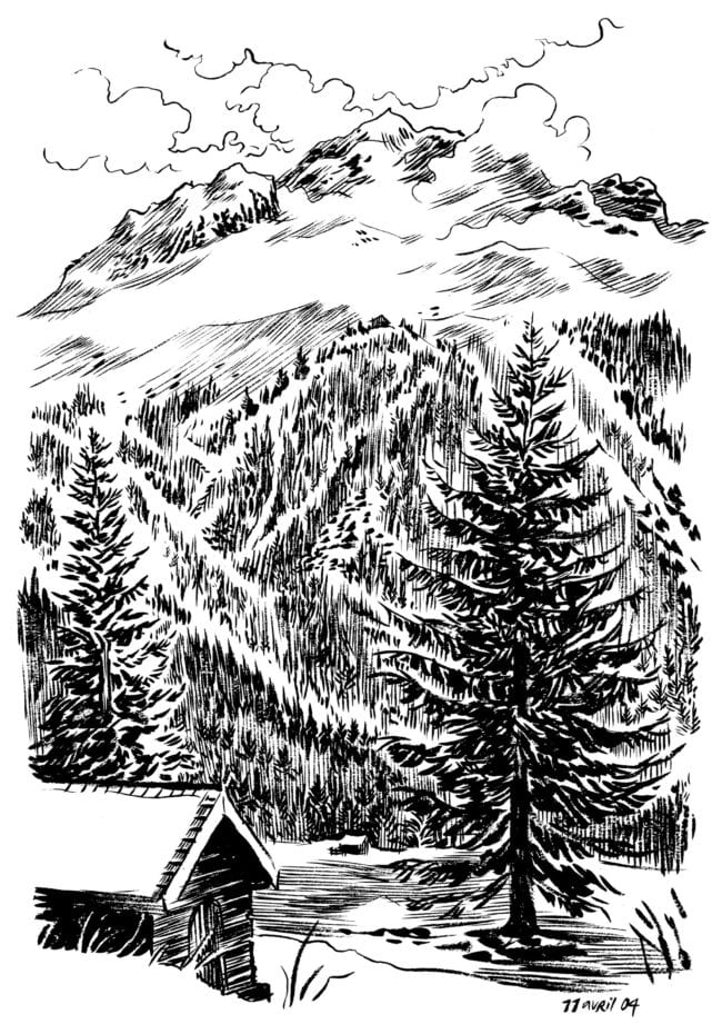 "I’m Sick of Graphic Novels": An Interview with Craig Thompson - The ...