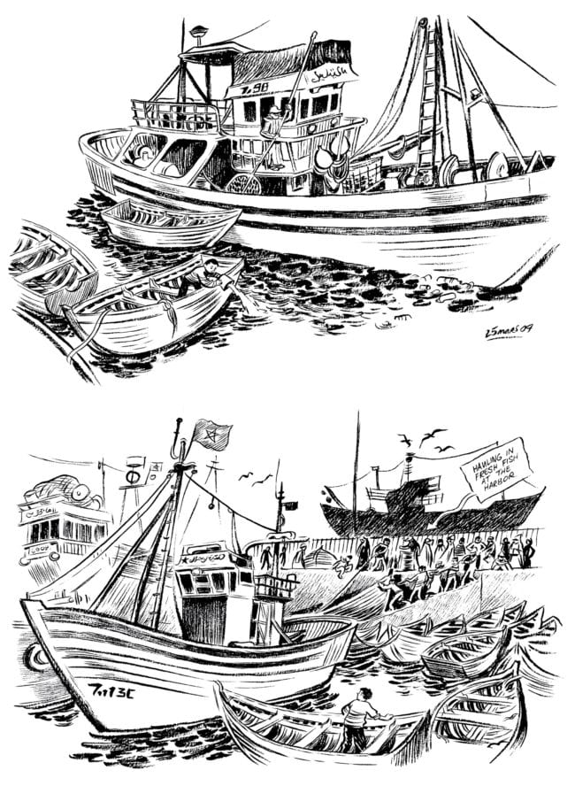 "I’m Sick of Graphic Novels": An Interview with Craig Thompson - The ...