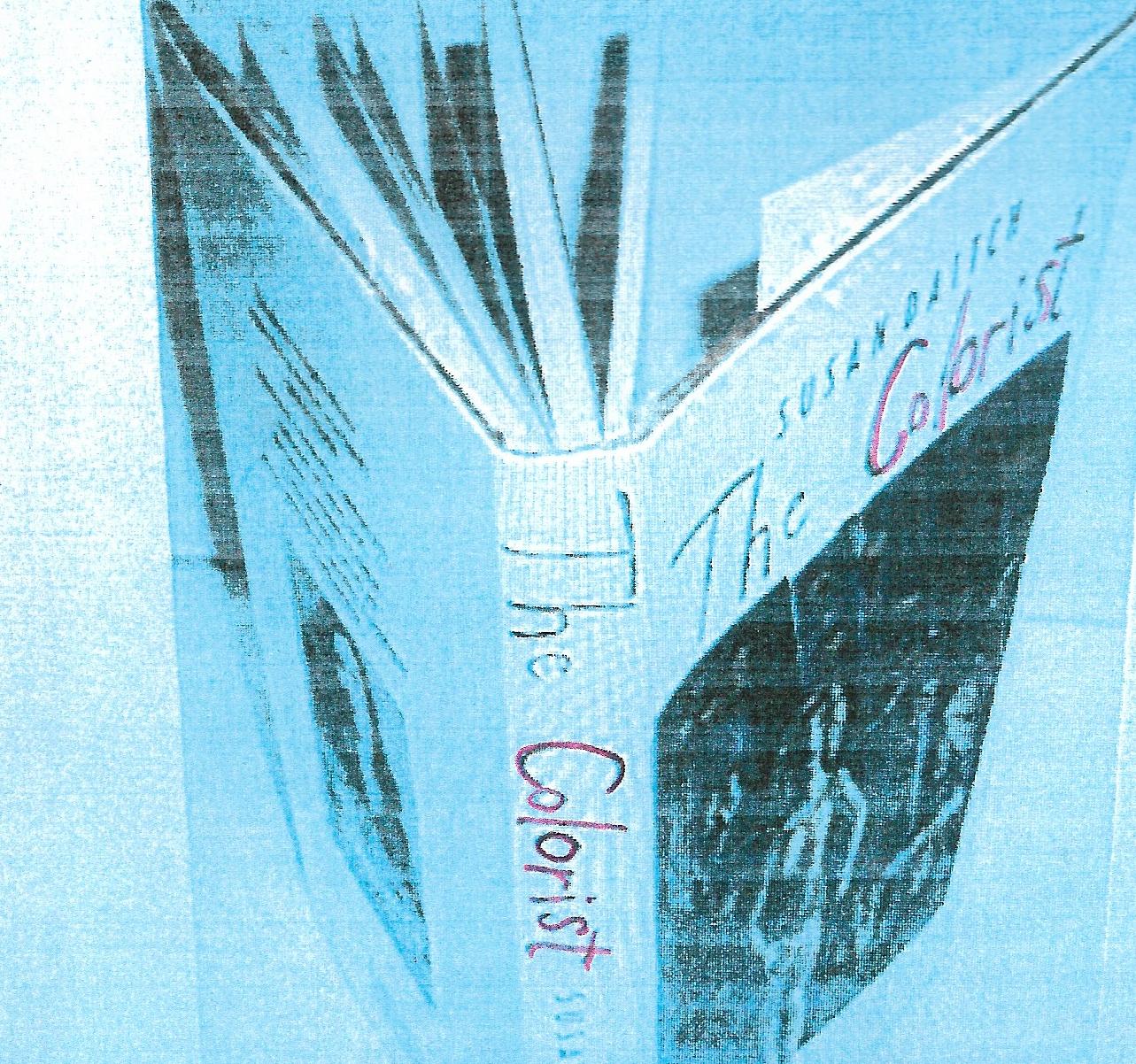 Out of Print: Revisiting Susan Daitch's The Colorist - The Comics Journal