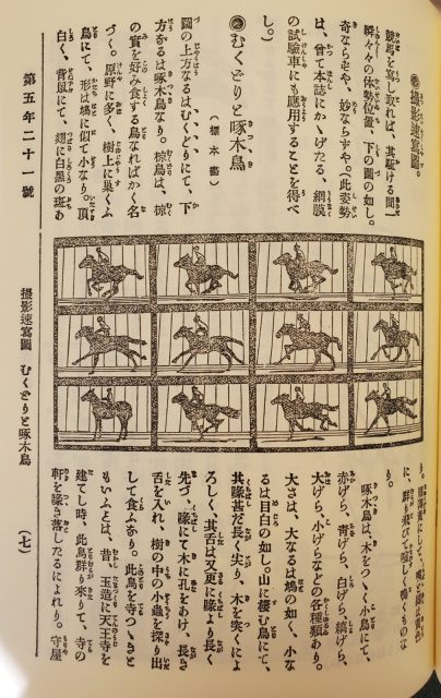 Laying the Groundwork for Japanese Comics: Imaizumi Ippyō’s ...
