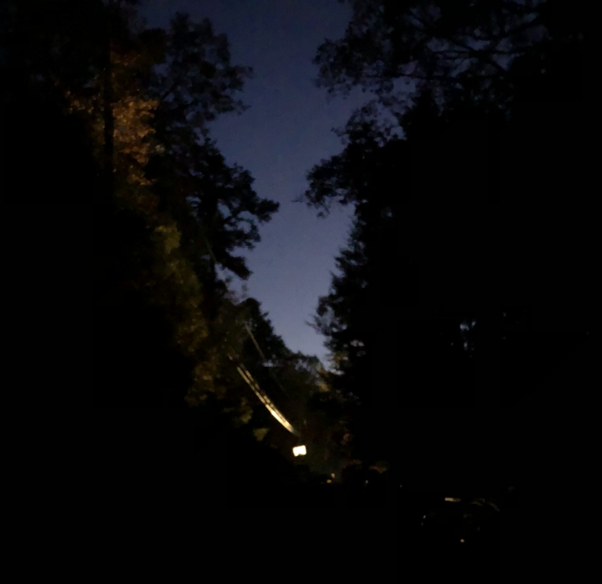 Such Sights To Show You - This Week's Links - The Comics Journal