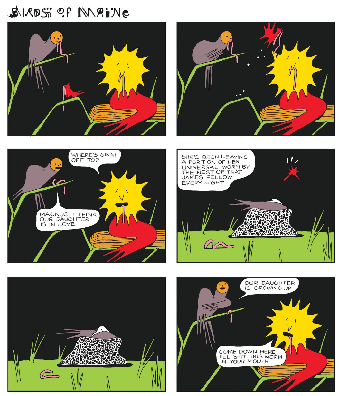 Birds of Maine - The Comics Journal