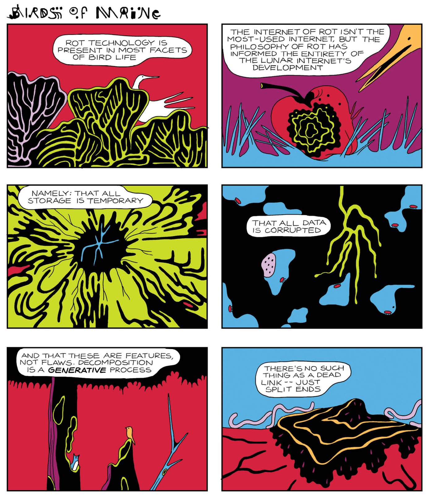 Birds of Maine - The Comics Journal