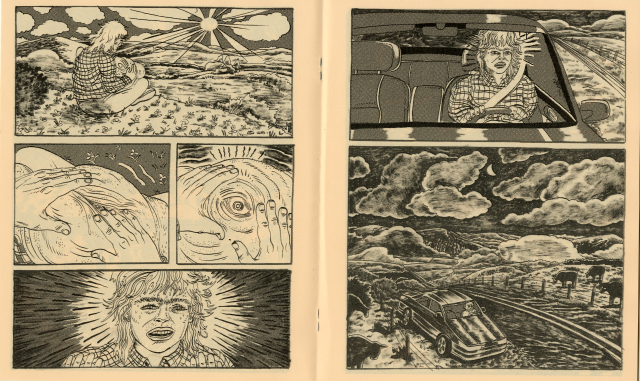 Visiting Short Run Comix & Arts Festival 2022 - The Comics Journal