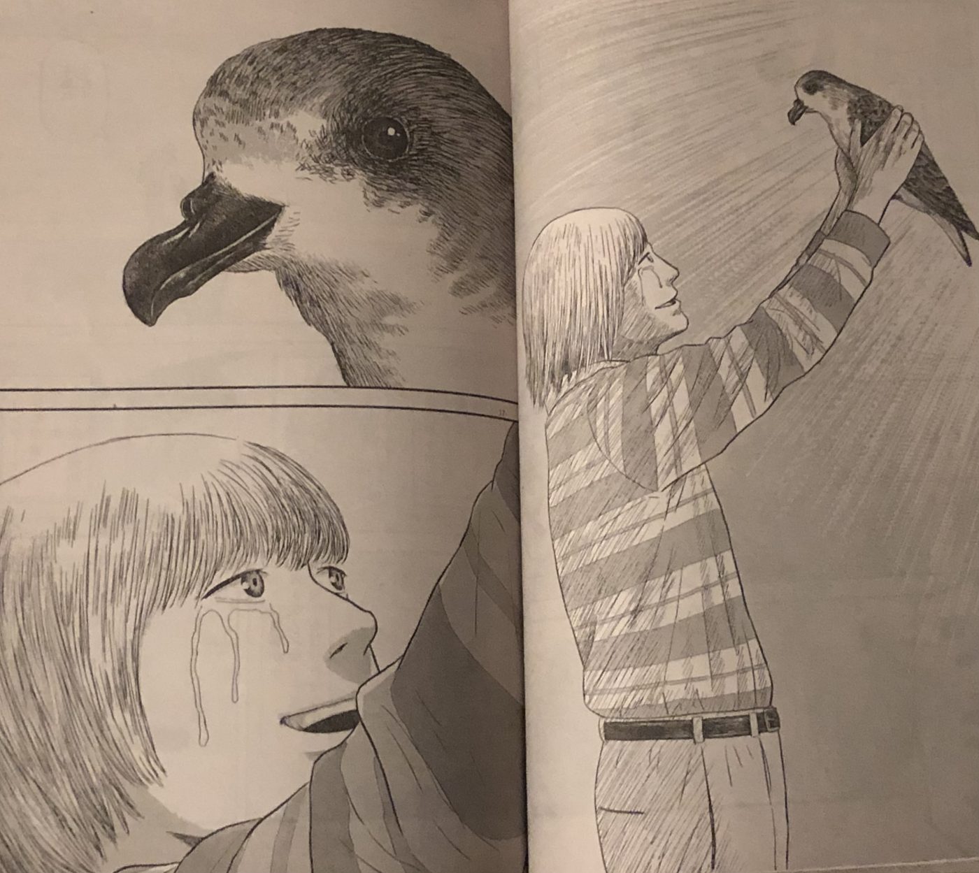 News - The Comics Journal