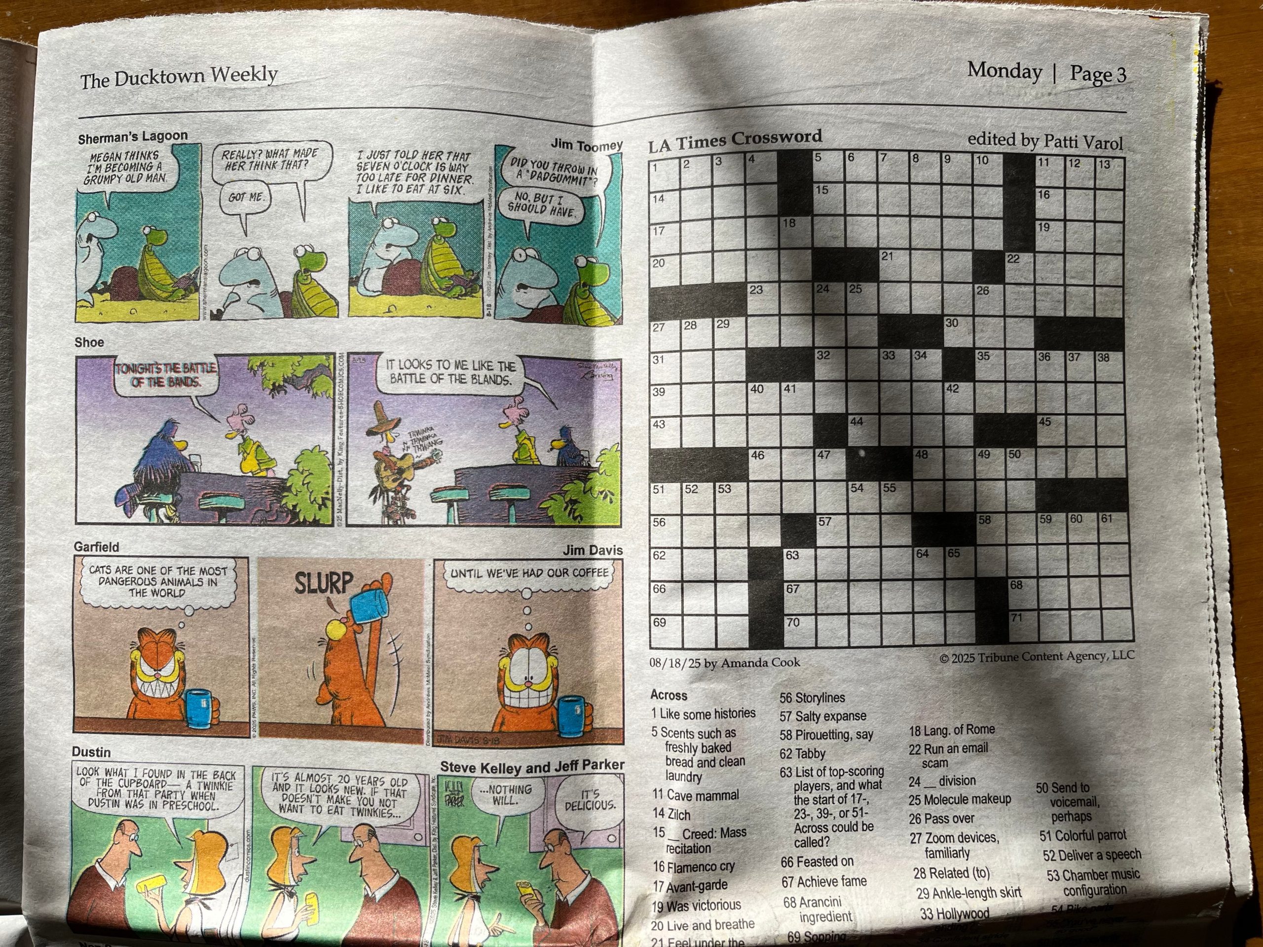 Comic strips … in print? A look at The Ducktown Weekly and other ‘zine ...